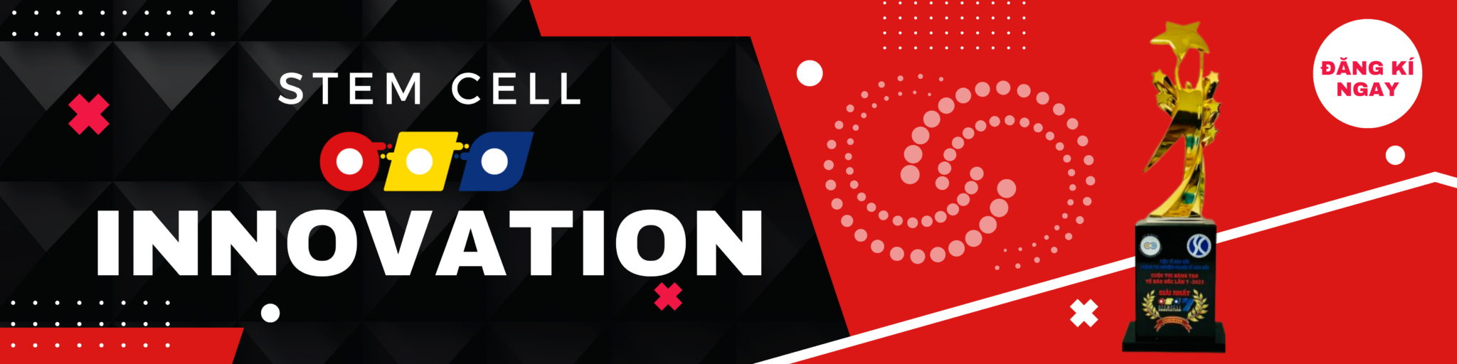 Stem Cell Innovation 2023